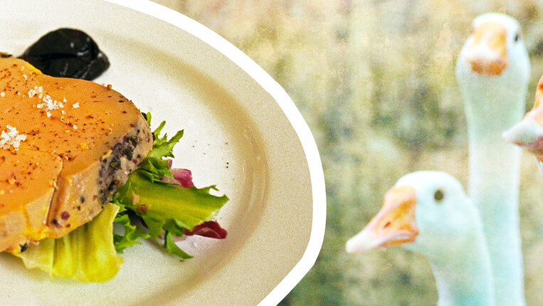 Faux outrage over foie gras: Liver ban leaves producers livid — RTD