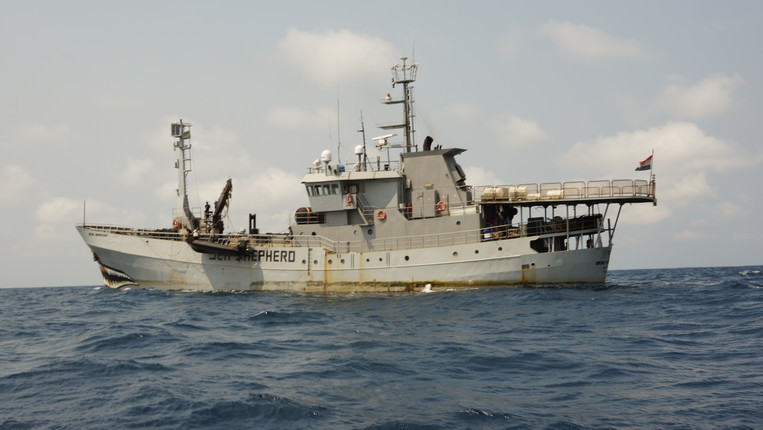 Sea Shepherd: Catching maritime poachers off the African Coast — RTD